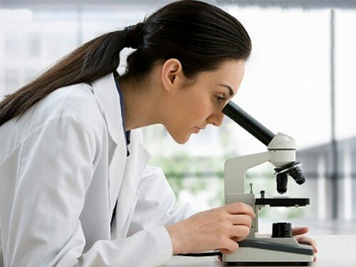 Kelapa Sawit CPO dan PKS: Laboratorium Mutu Pabrik Kelapa Sawit