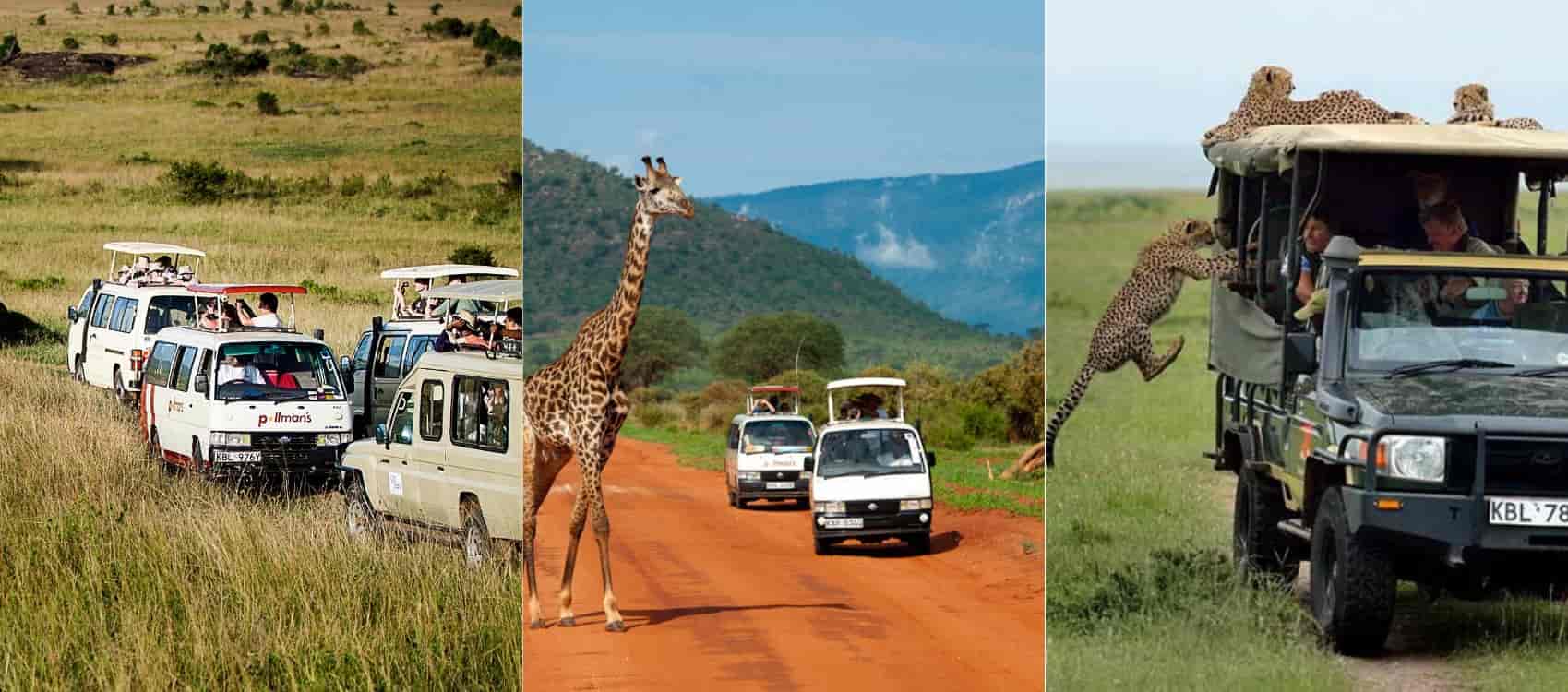 Top Reasons To Choose Tanzania Safari Tour Packages