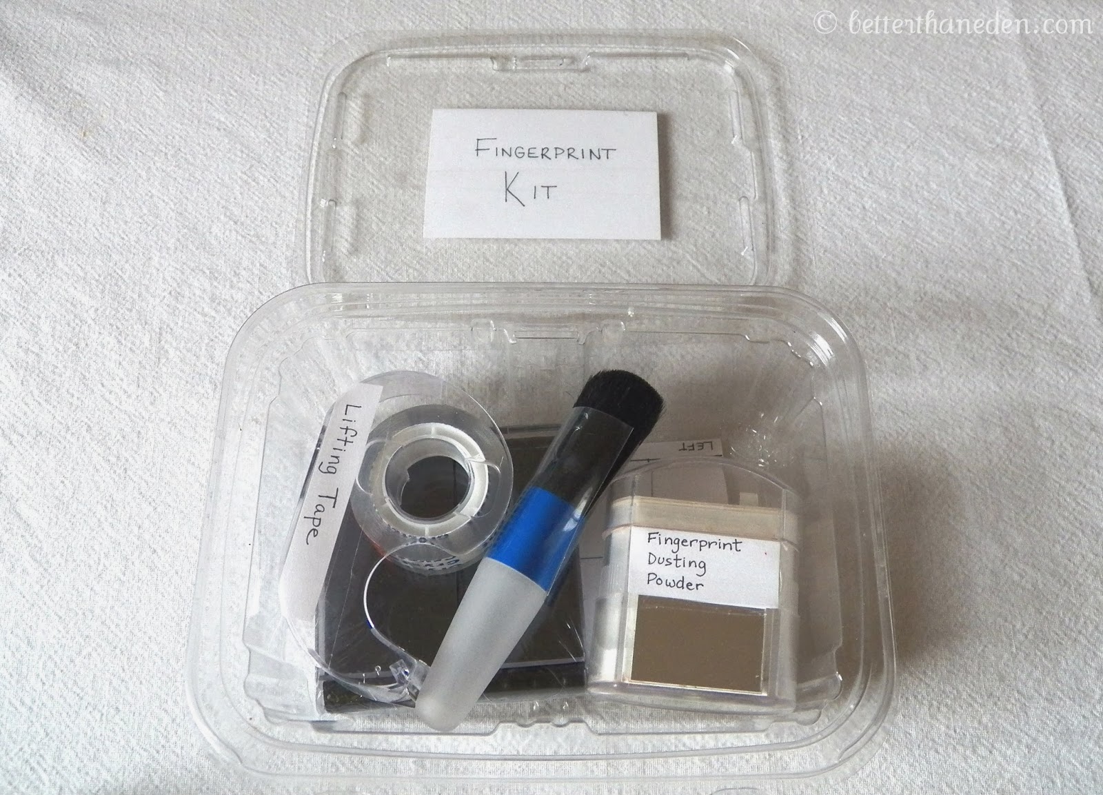 A DIY Secret Spy Kit - Mary Haseltine