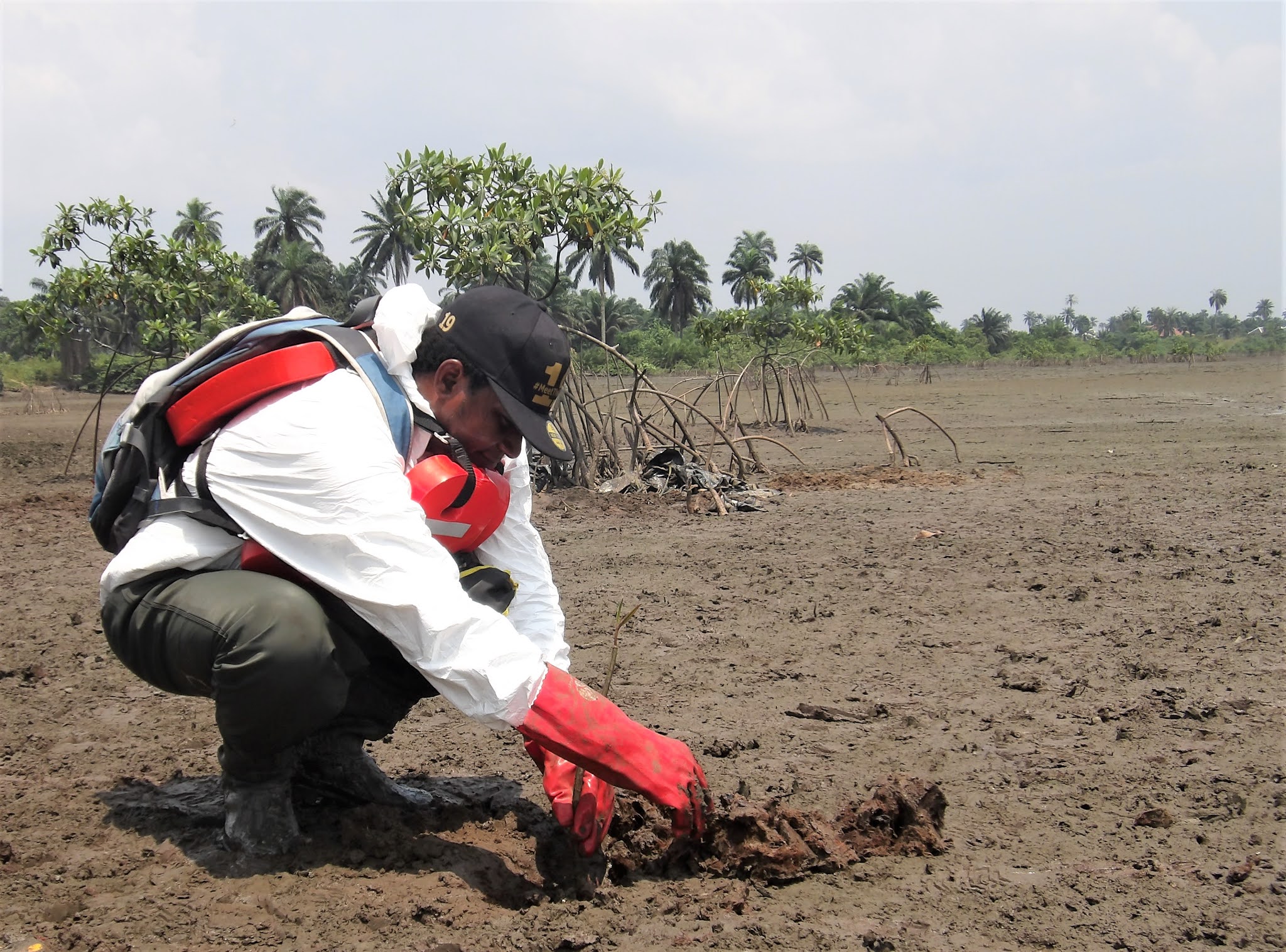 World Environment Day - Decade of Ecological Restoration
