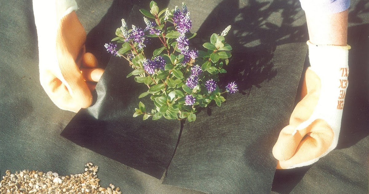 Γεωυφάσματα πολυπροπυλενίου για χρήση σε κήπους: Τιμές - Θεσσαλονίκη ...