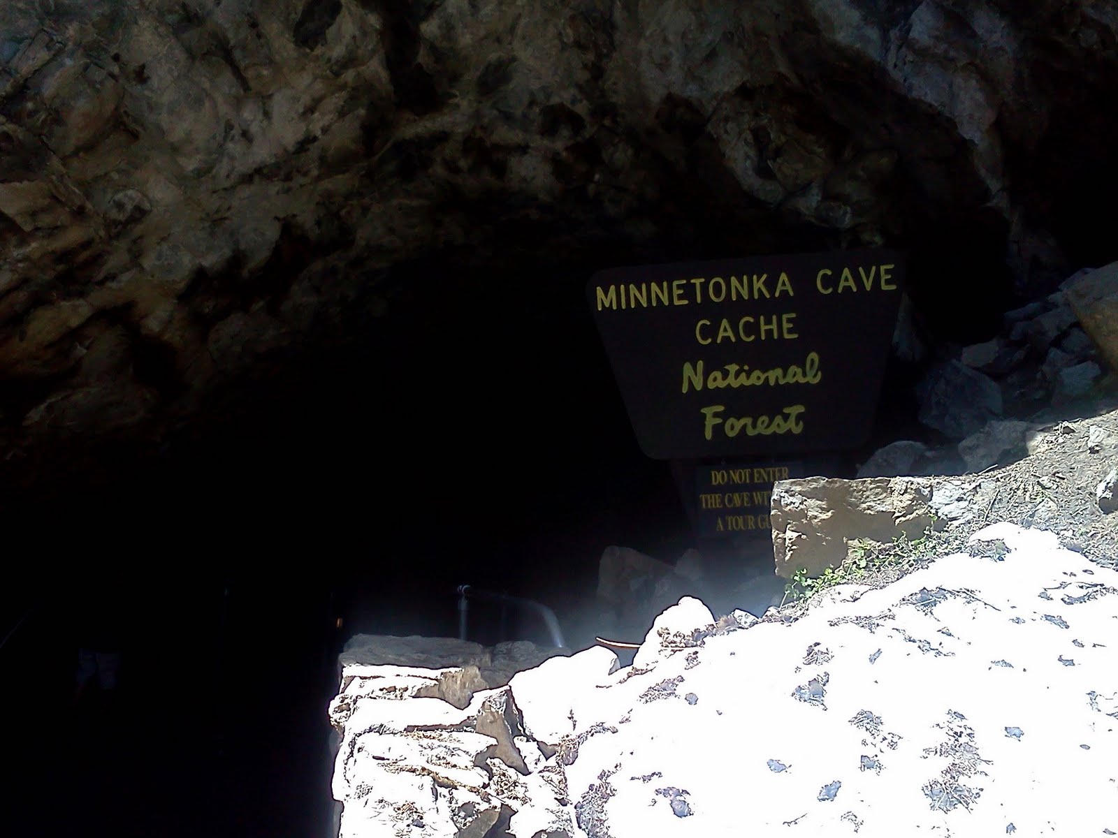 Toad's Treasures Lifestyle Family Blog by Emily Ashby: Sun & Bears