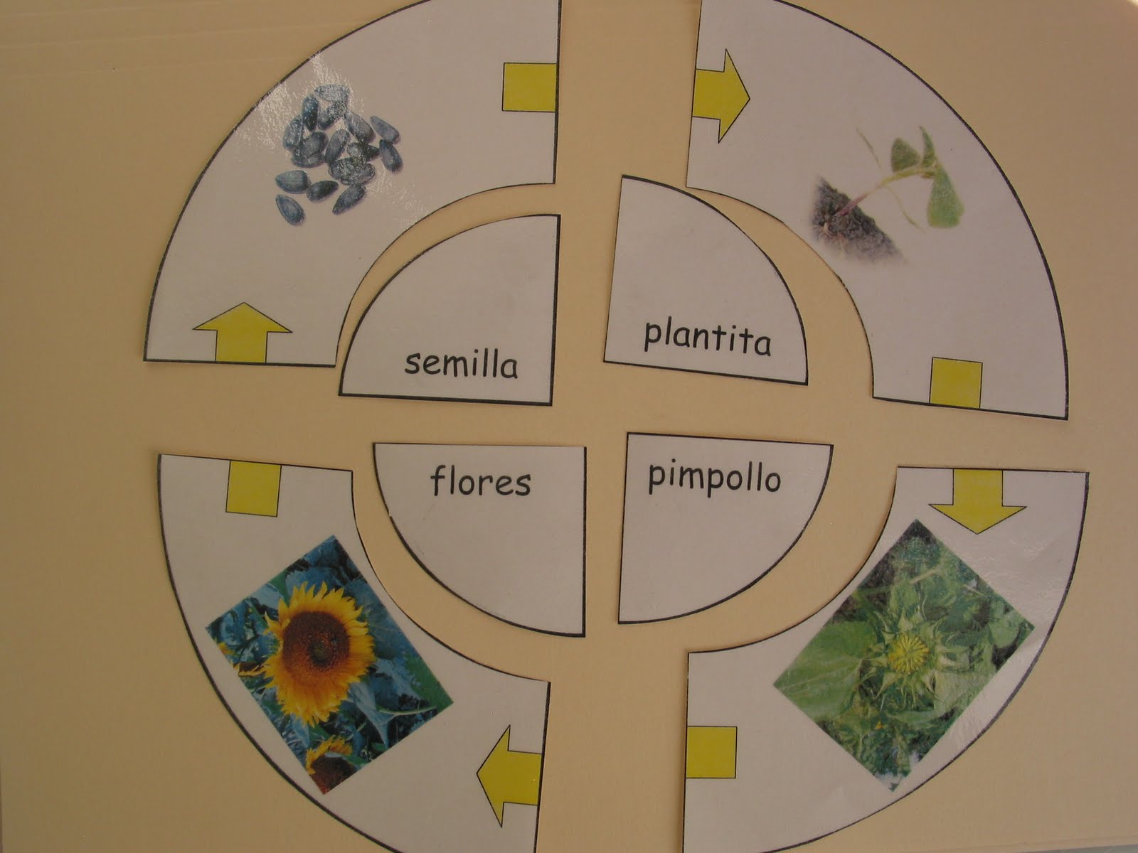 Homeschool en México: Aprendiendo sin escuela: Actividades con animales ...