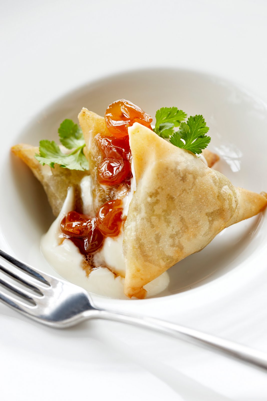 The Greek Bite: South African Samoosas, by Manshil