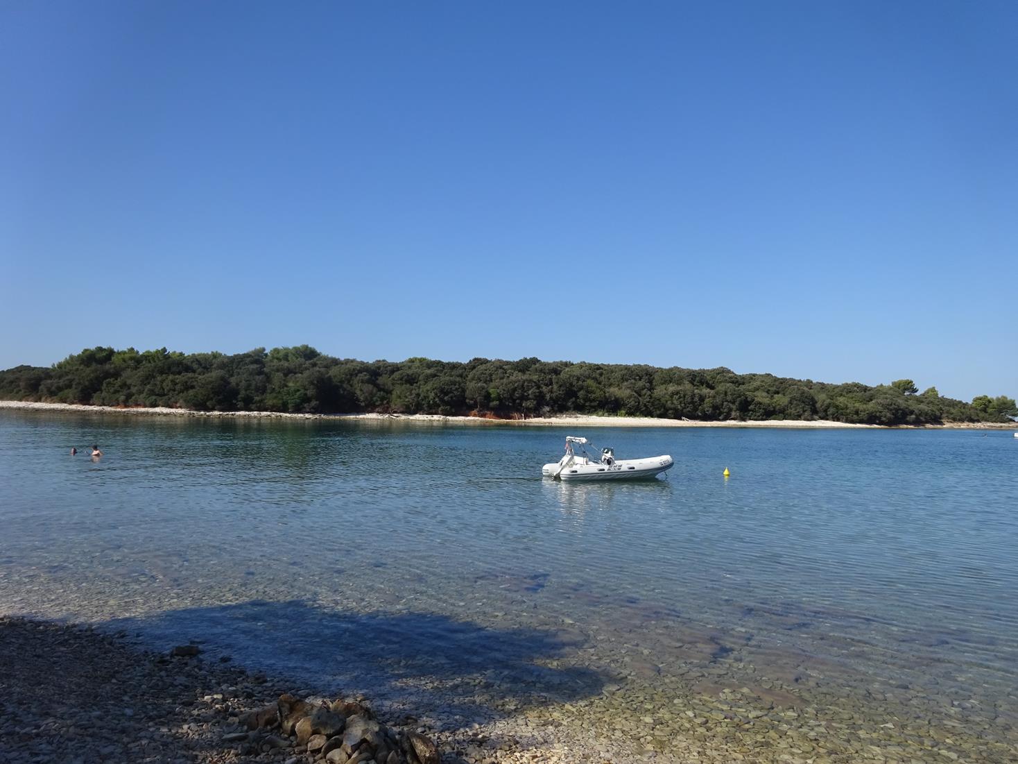 Menard & Jack Russell Terrier: Kamp Arena Indije