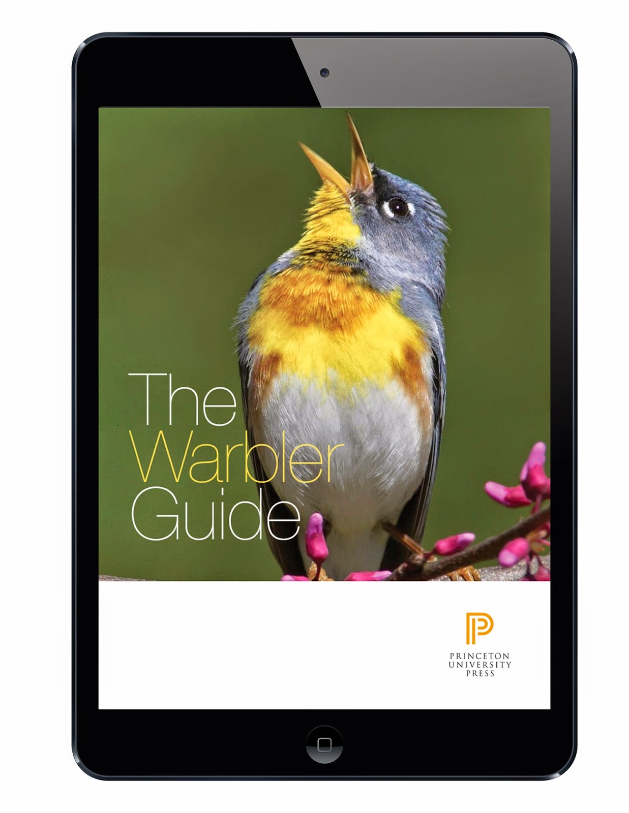 WarblerWatch: The New "Warbler Guide" App Premieres. . . Here's An Interview With The Authors
