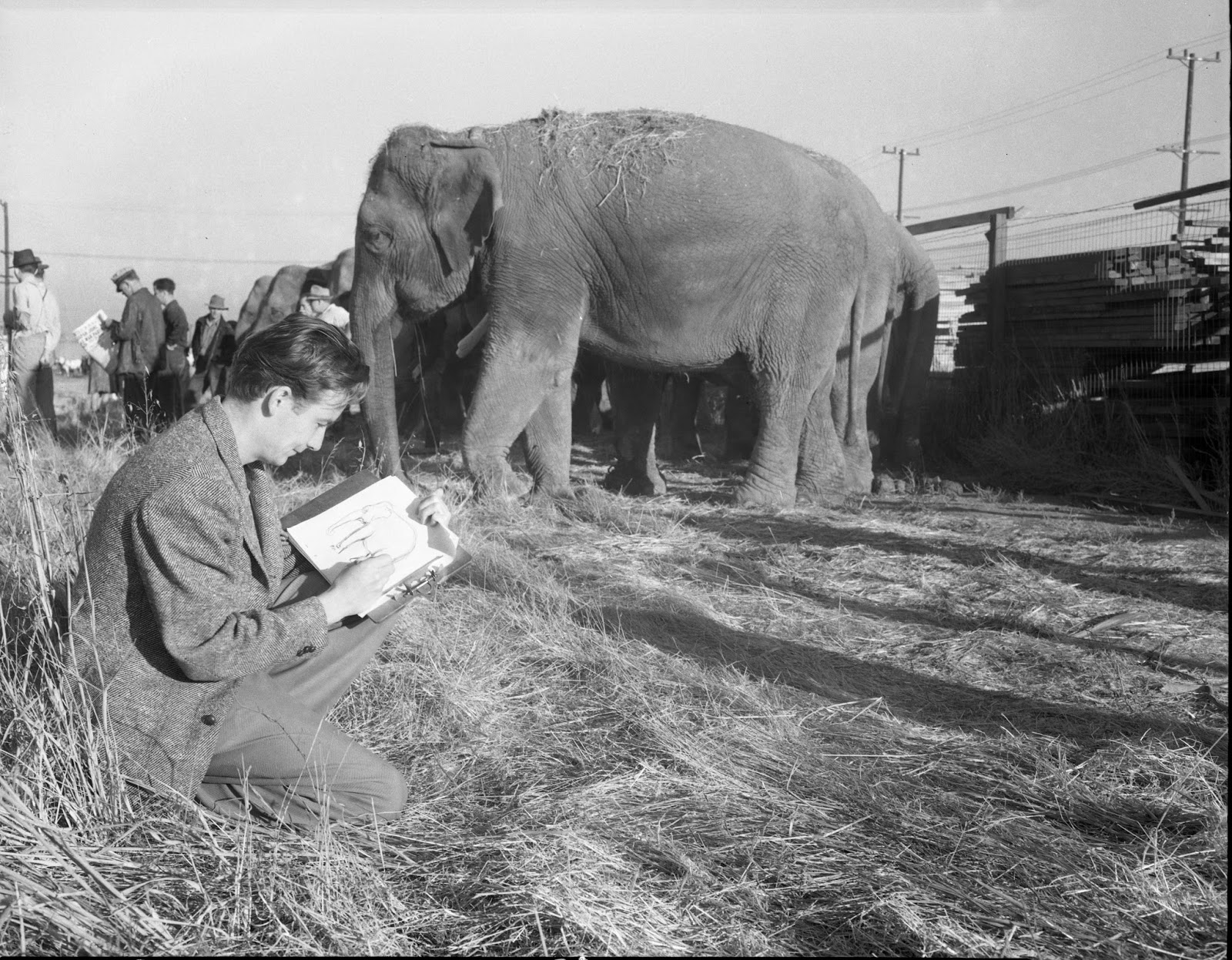 Deja View: Bill Peet's Dumbo