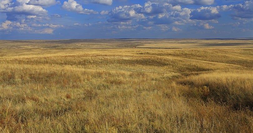 La steppa: ambiente e paesaggio