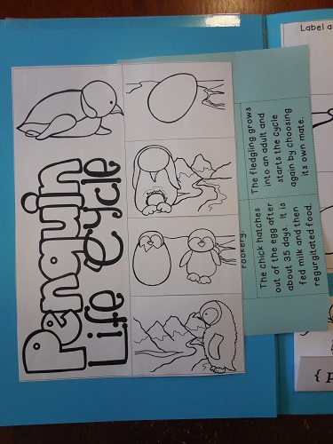 The Paper Maid: Interactive Penguin Lapbook