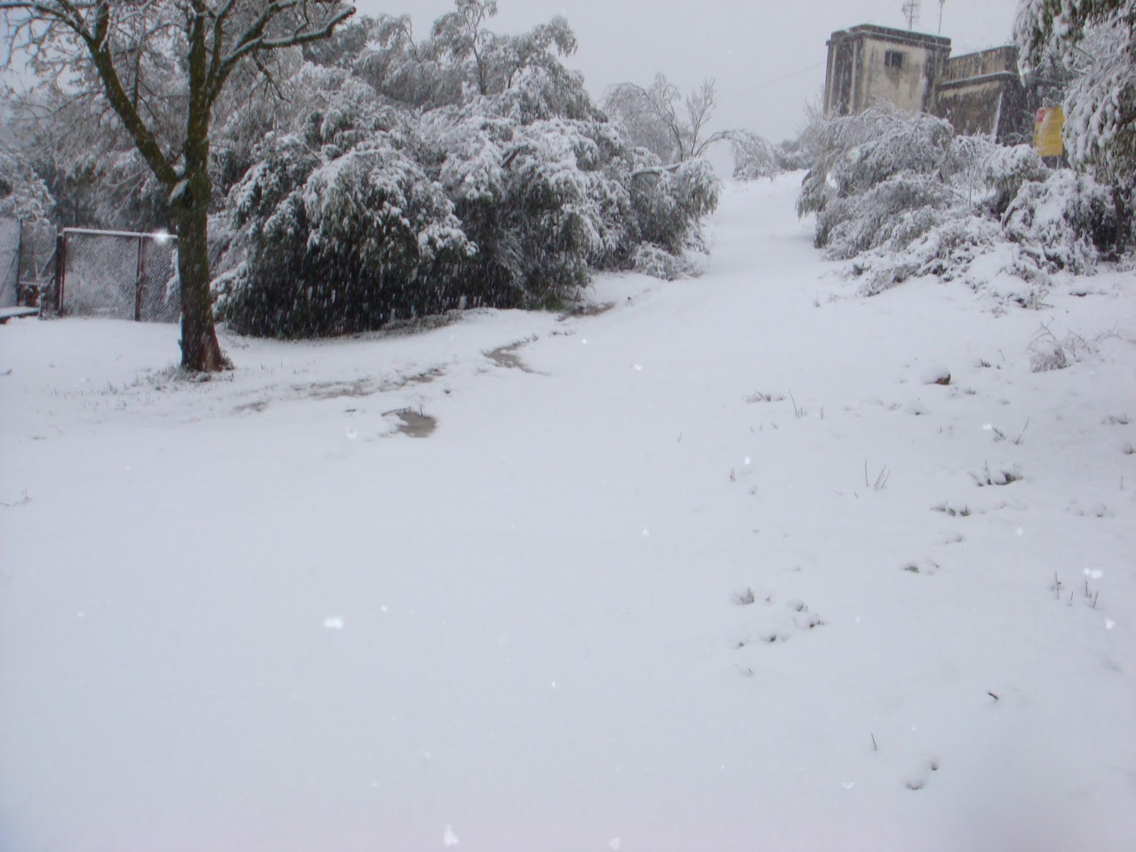 Que! paisajes!: Nevando