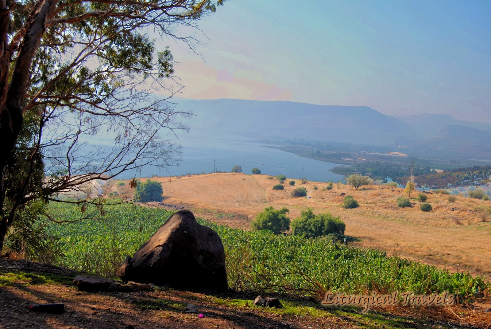 Liturgical Travels: Holy Mass on the Mount of Beatitudes