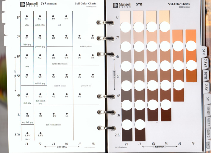 Munsell Book Of Color Pdf - Coloring Books