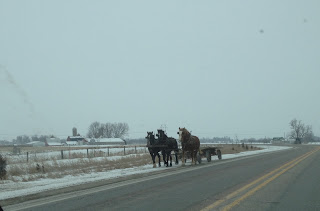 Amish Horses: Winter Scenes on the Amish Farm