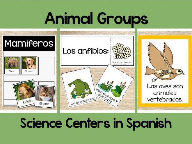 Awesome Hands-on Science Centers in Spanish That Your Students Will ...