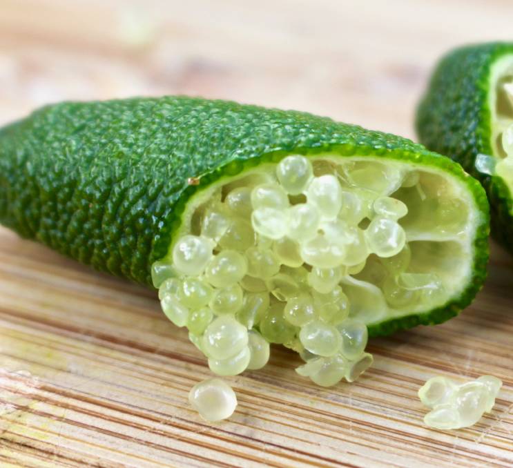 Inilah Beberapa Buah - Buahan Yang Belum Pernah Ada Di Jual Di ...