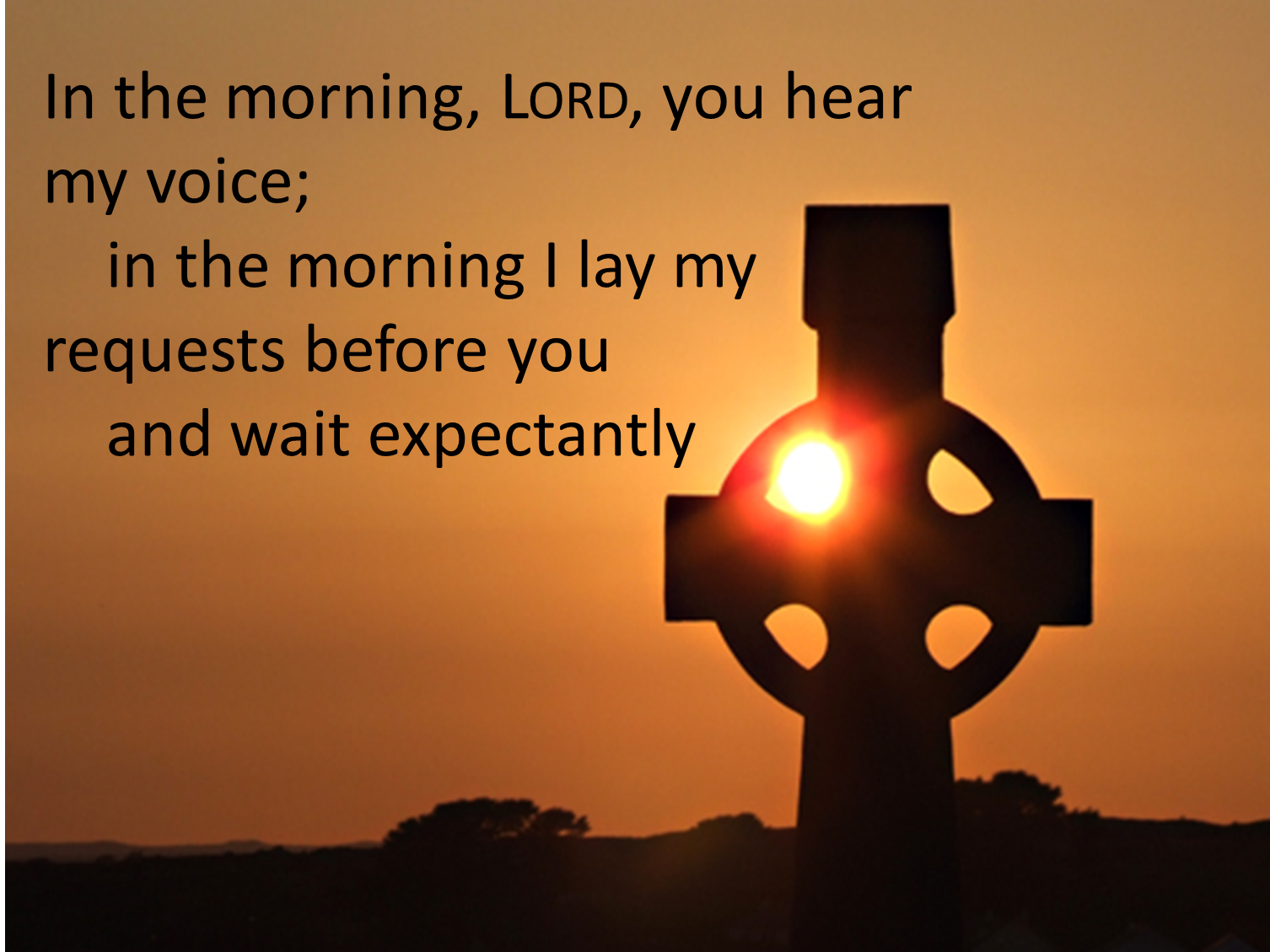 Psalms 5 8 Psalms 5 8