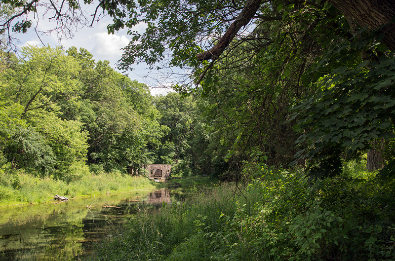 Urban Wilderness: A tour of Paradise ... Springs