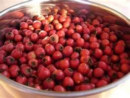 Entre menthe et lavande: La cénelle entre en scène