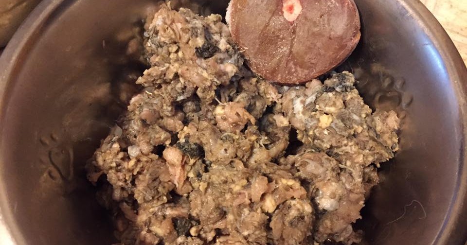 My Rotten Dogs: Recent Raw Meals