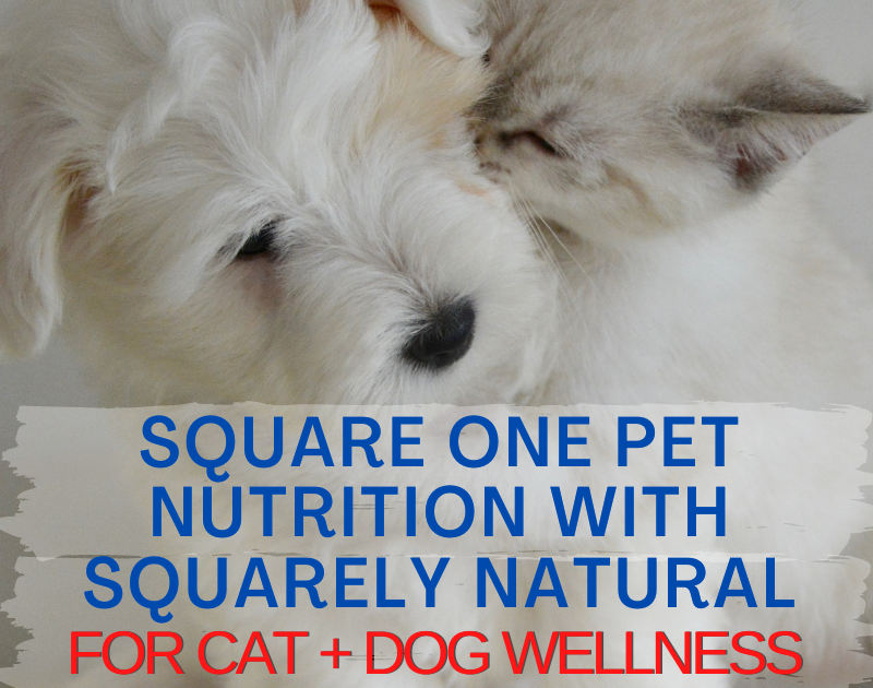 Square One Pet Nutrition with Squarely Natural for Cat + Dog Wellness