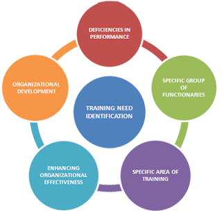 Training and Development: Training Need Identification.