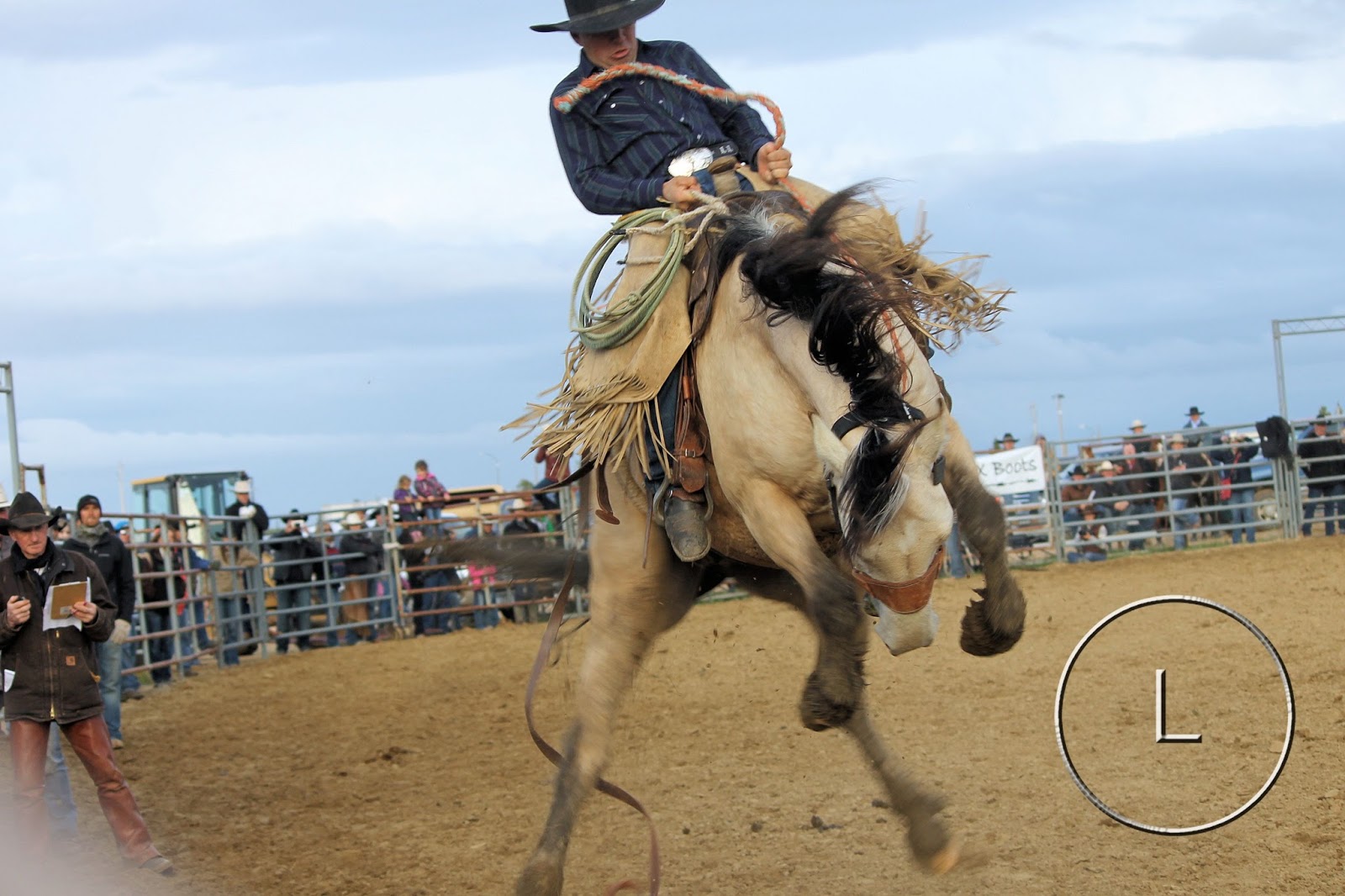 Just because I really like bucking horses.