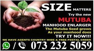Mutuba Seed