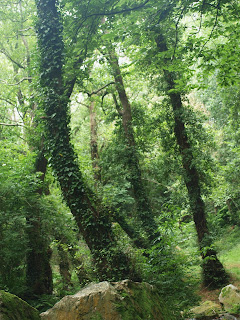 photoxperiences: Cascadas de Oneta - Oneta waterfalls