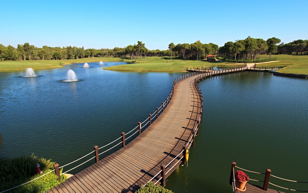 Clarify Muddy or Cloudy Pond Water with the Best ALUM Solution