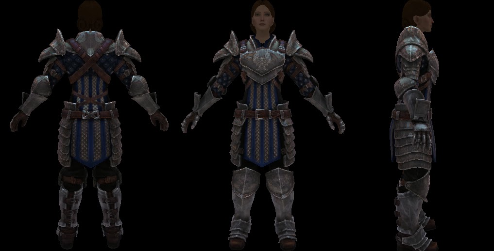 The Next Project: DA2 Warden Armor