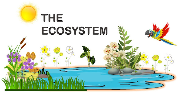 ECOLOGY-Part 2 - Model questions for various competitive exams like ...