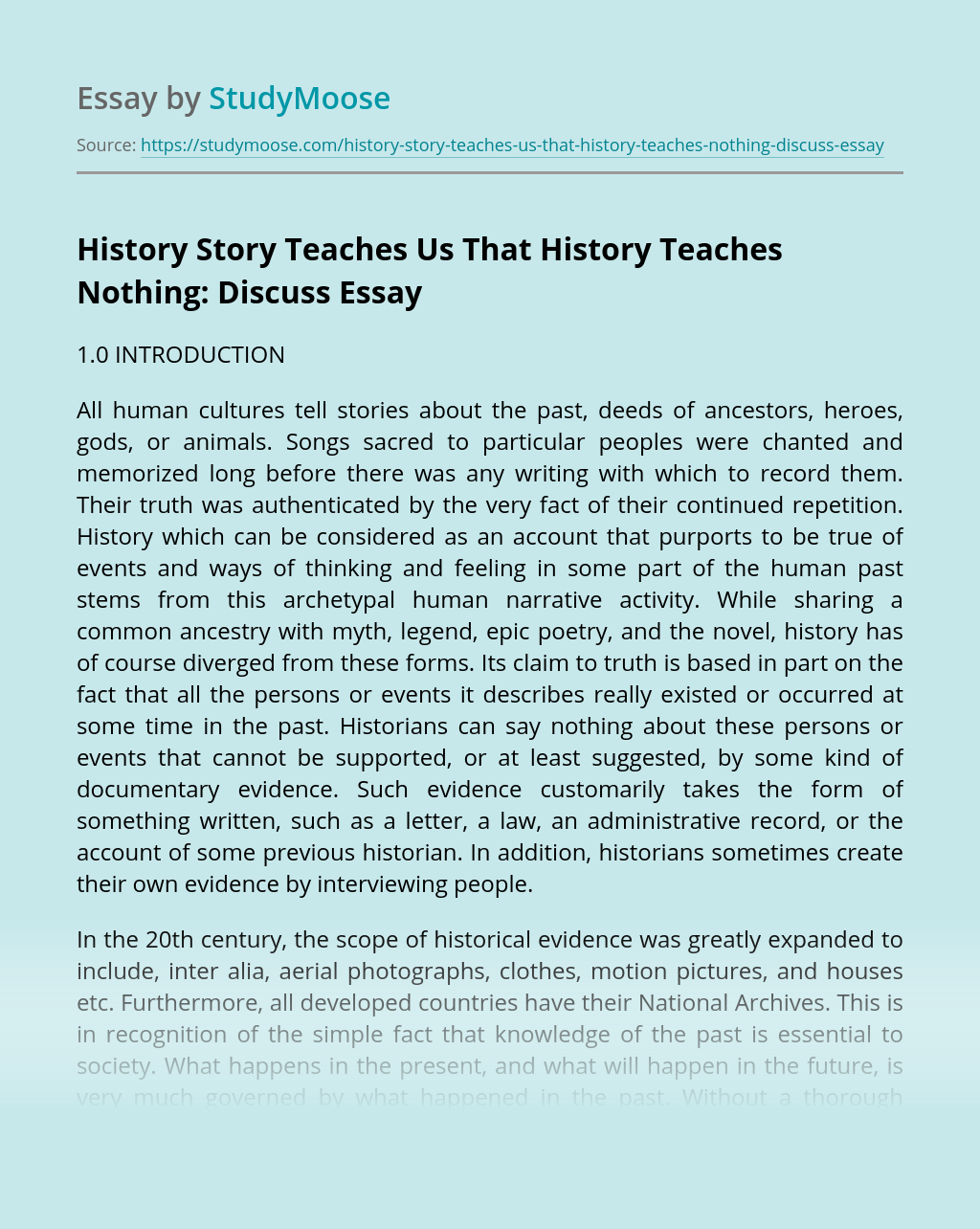 essay examples: What Is History Essay