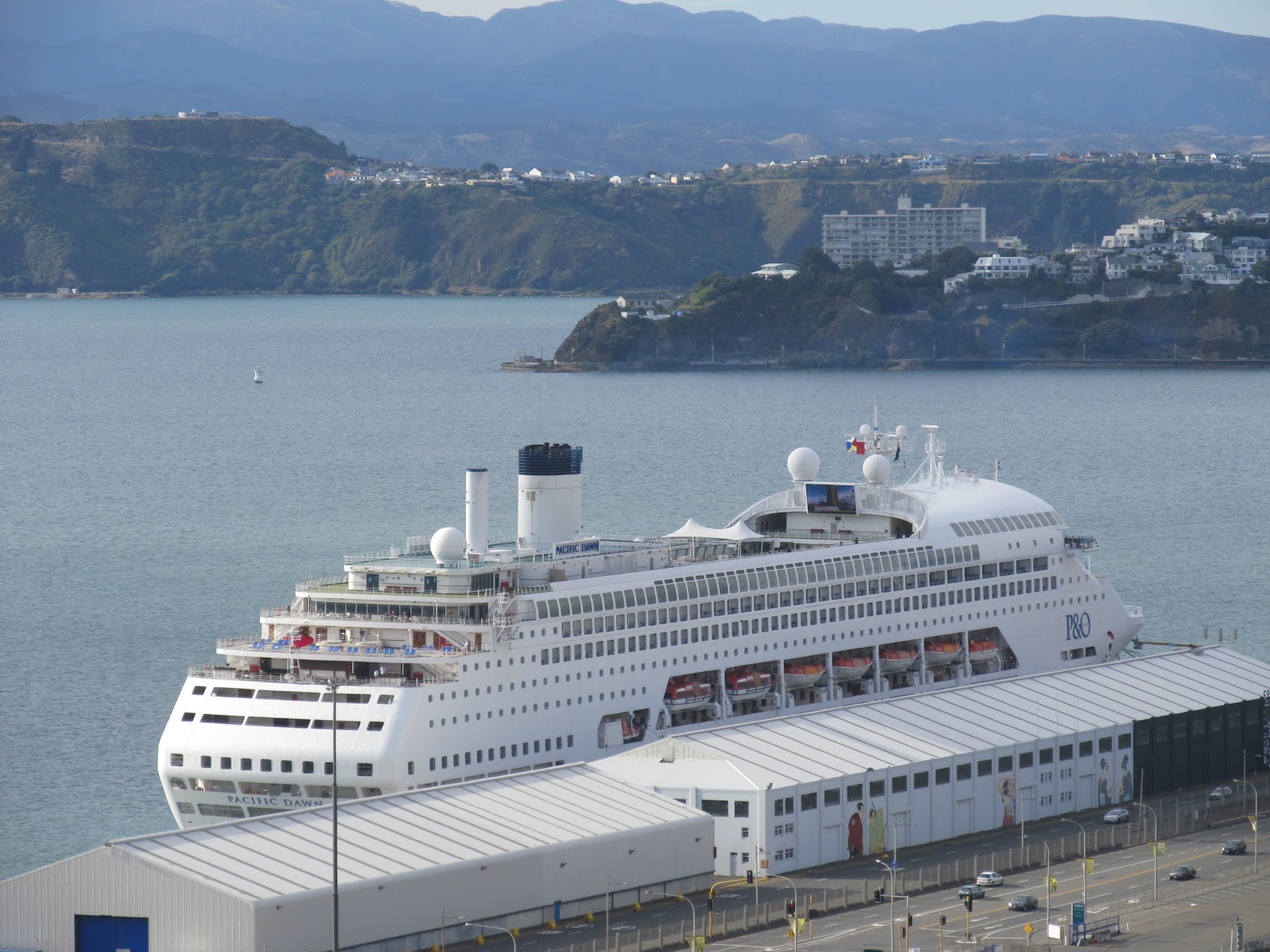 Sparrow Chatter: Pacific Dawn