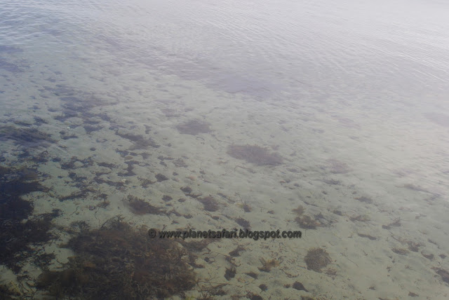 Charlottenlund Beach Park