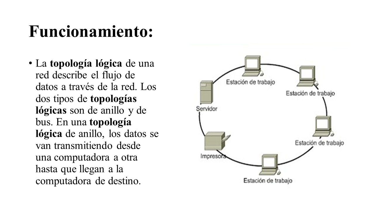 PORTAFOLIO DIGITAL DE EVIDENCIAS: Topologías de redes lógicas.