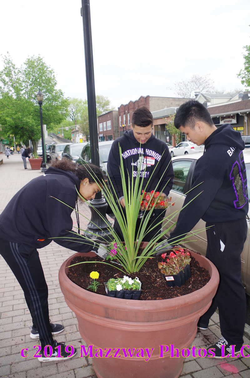 Bogota Blog NJ: Spring Planting