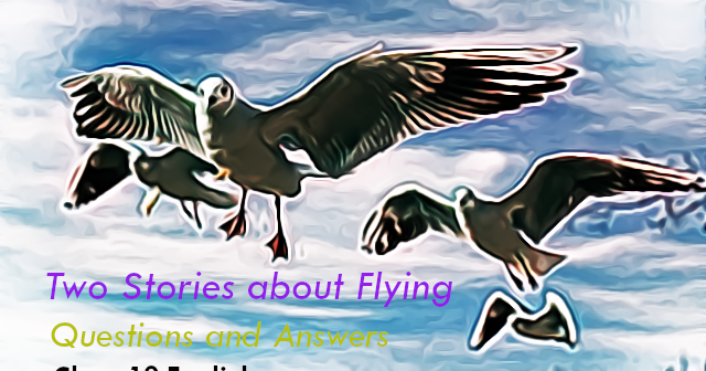 CBSE Papers, Questions, Answers, MCQ ...: CBSE Class 10 - English (Lit ...