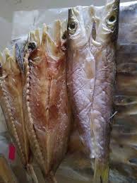 Dried Barracuda Fish Suppliers: Products