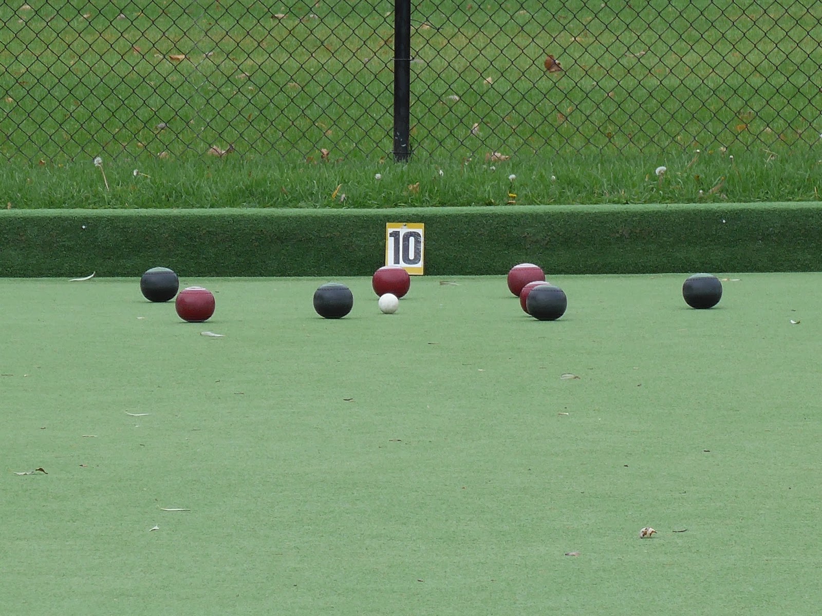 The Greenbowler: The Experiences and Insights of a Lawn Bowler ...