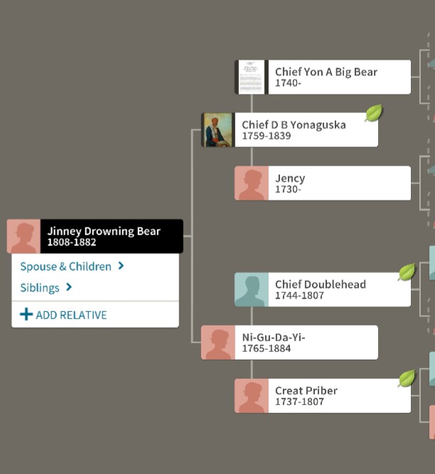 Roots & Recombinant DNA: Admixture Centrifuge: Cherokee DNA