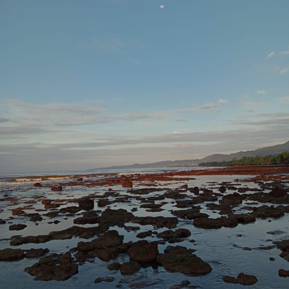 Sumber foto dan informasi: Desri Safitri M.