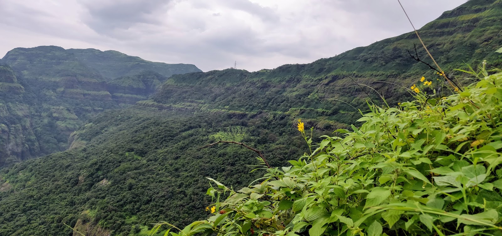 Lingya Ghat-Kurdugad-Nisnichi Vaat..Trek in the Tamhini region.
