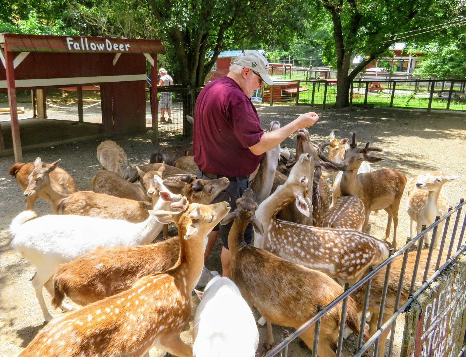 Big Daddy Dave: Deer Farm and Petting Zoo