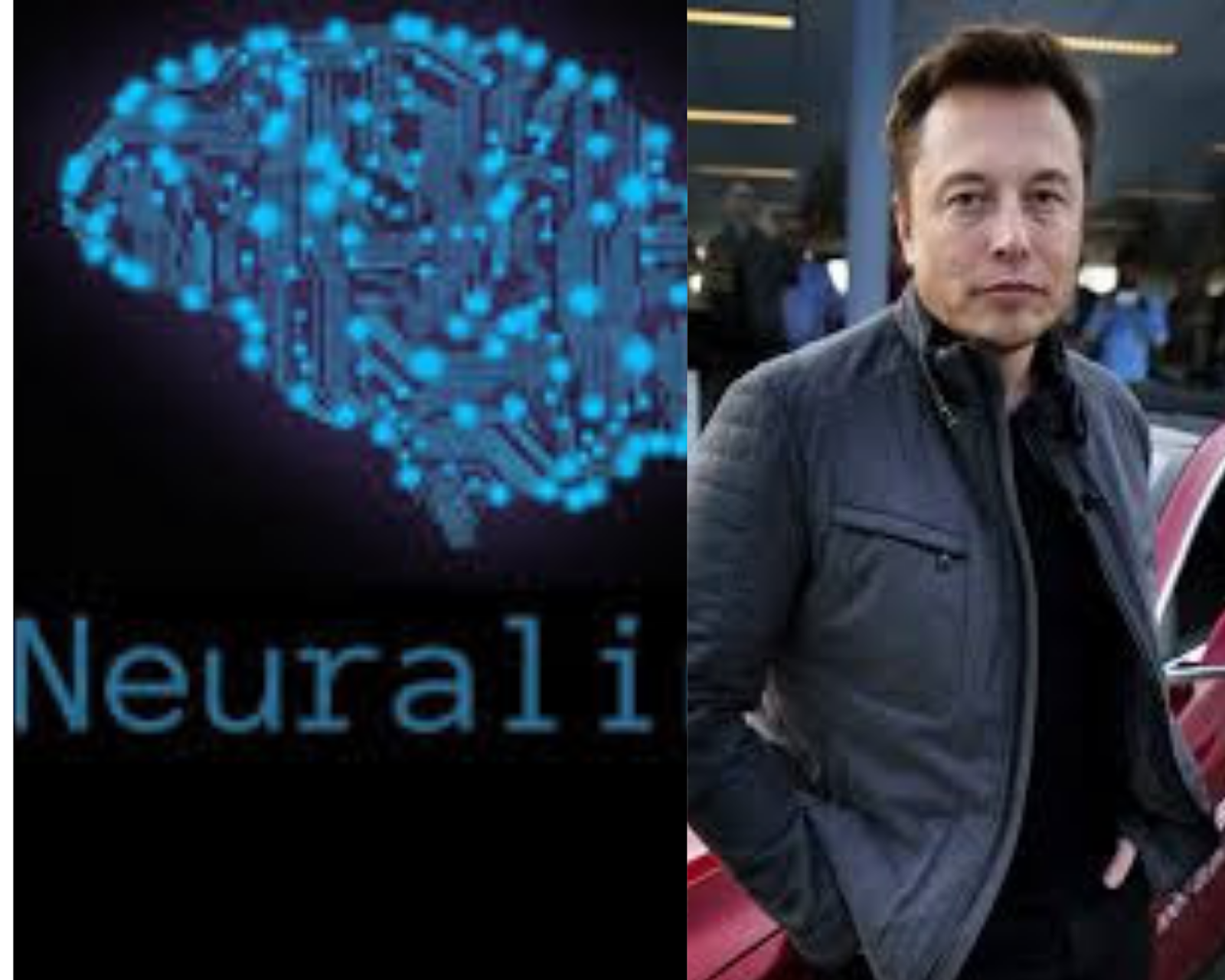 DETAILS ABOUT NEURA LINK PROJECT ELON MUSK X SPACE PART -3