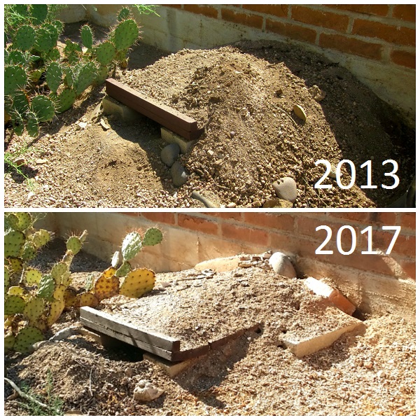 At Least I Will: Project House Update: I'm Finally An Expert in Something