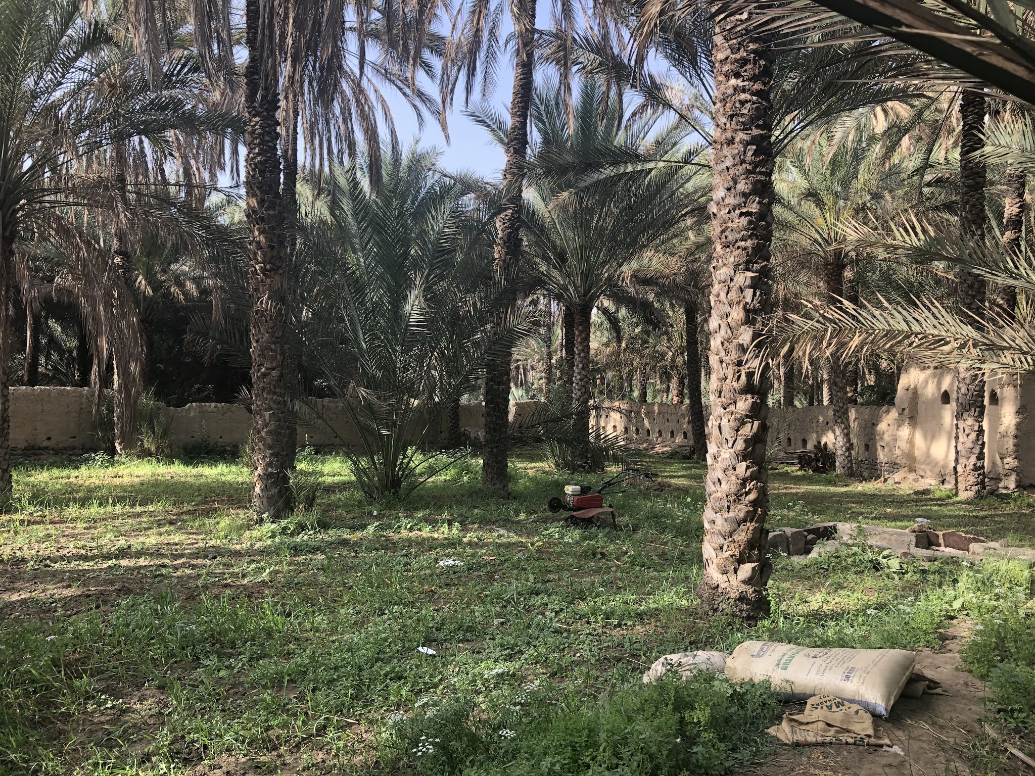 Samail - oasis with rich history
