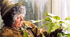 THE GRANDMA'S LOGBOOK ---: POMONA SPROUT, THE NATURAL POWER OF MANDRAKES