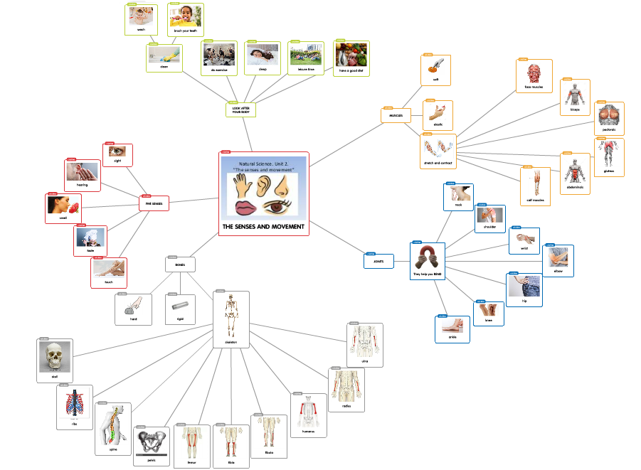 SCIENCE 2º: UNIT 2: CONCEPT MAP
