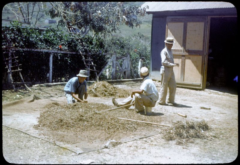 Everyday Life of Puerto Rico in the Mid-1940s Through Amazing Color ...