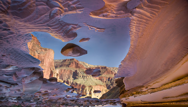 Suzanne Mathia Photography